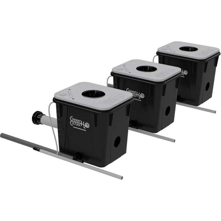 Buy The Under Current ® Recirculating Deep Water Culture (RDWC ...