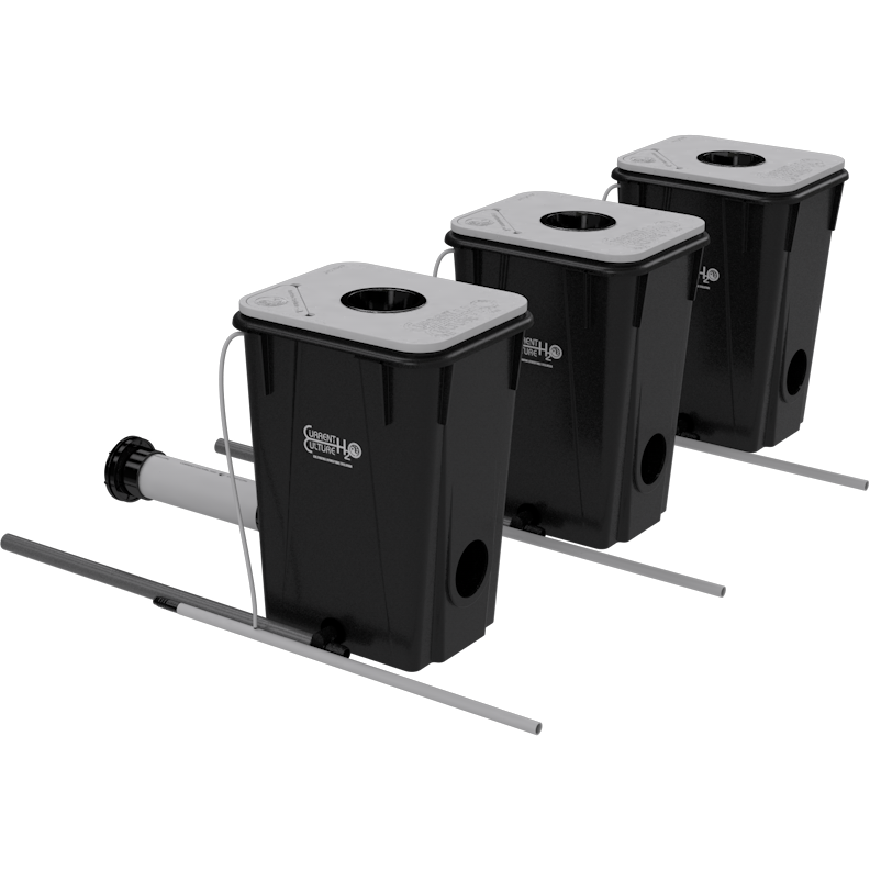 Buy The Under Current ® Recirculating Deep Water Culture (RDWC ...