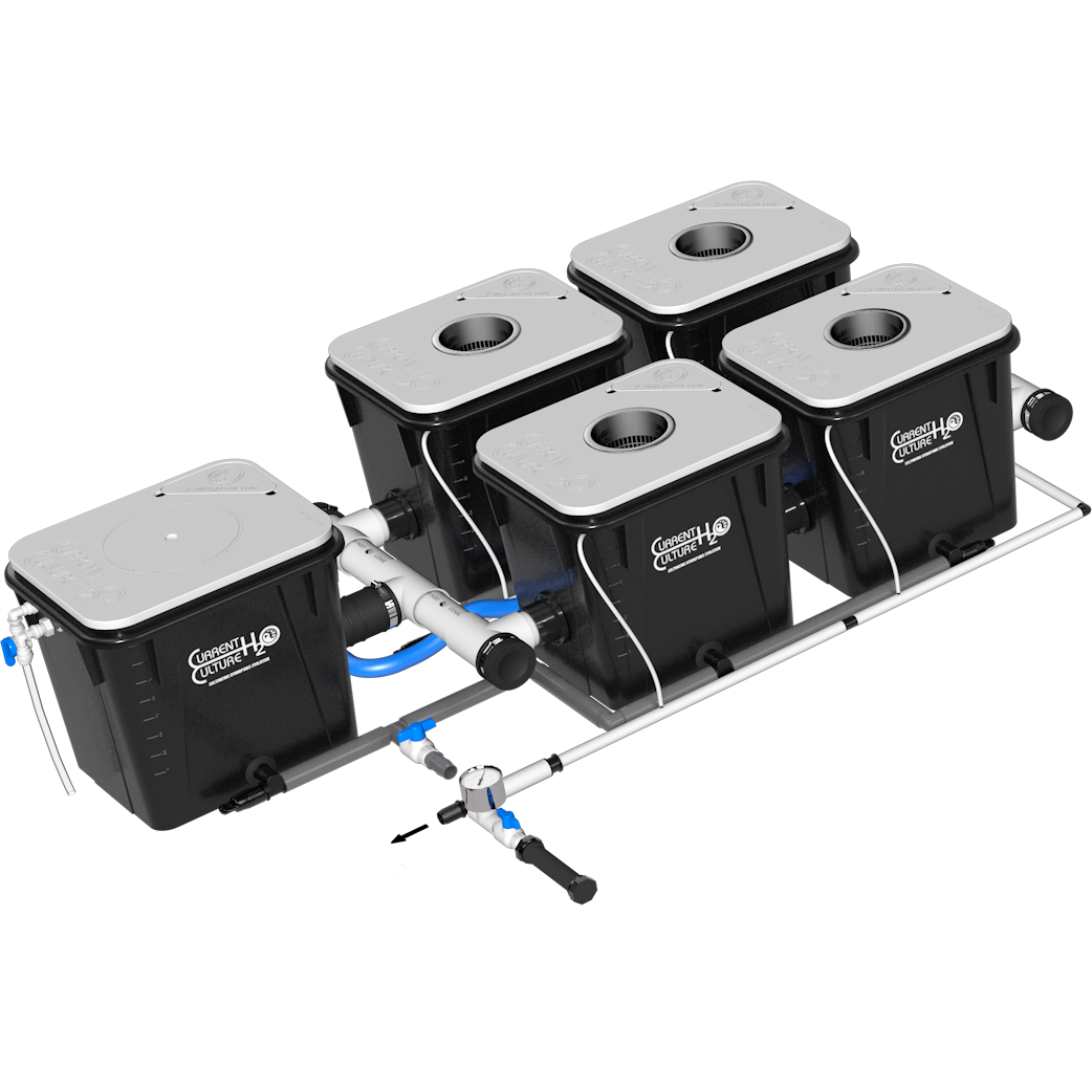 Buy The Under Current ® Recirculating Deep Water Culture (RDWC ...