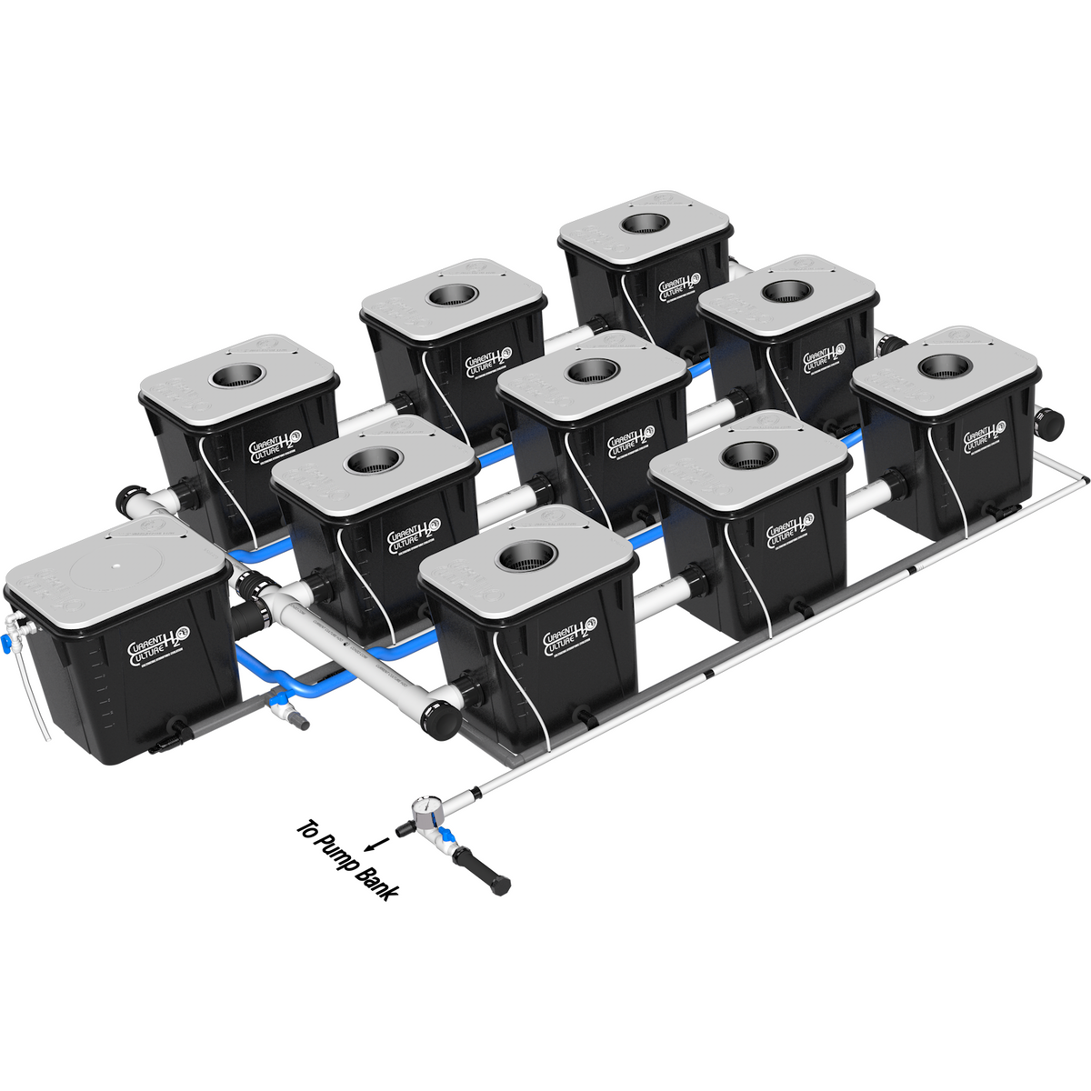 Buy The Under Current ® Evolution Recirculating Deep Water Culture ...