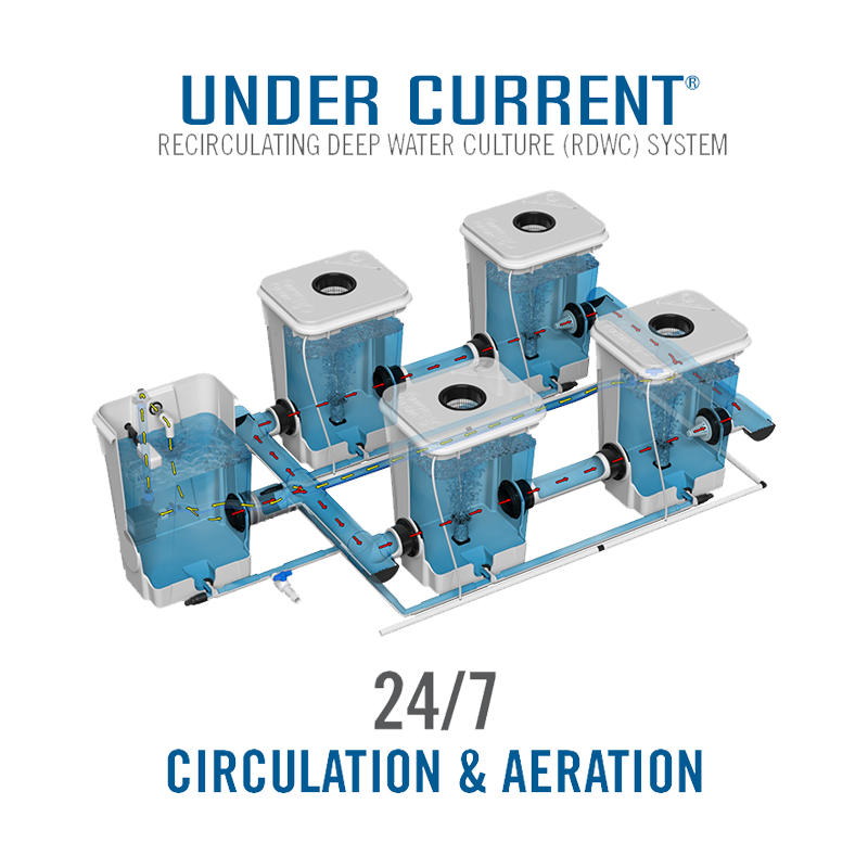 Buy The Under Current ® Double Barrel Recirculating Deep Water Culture ...