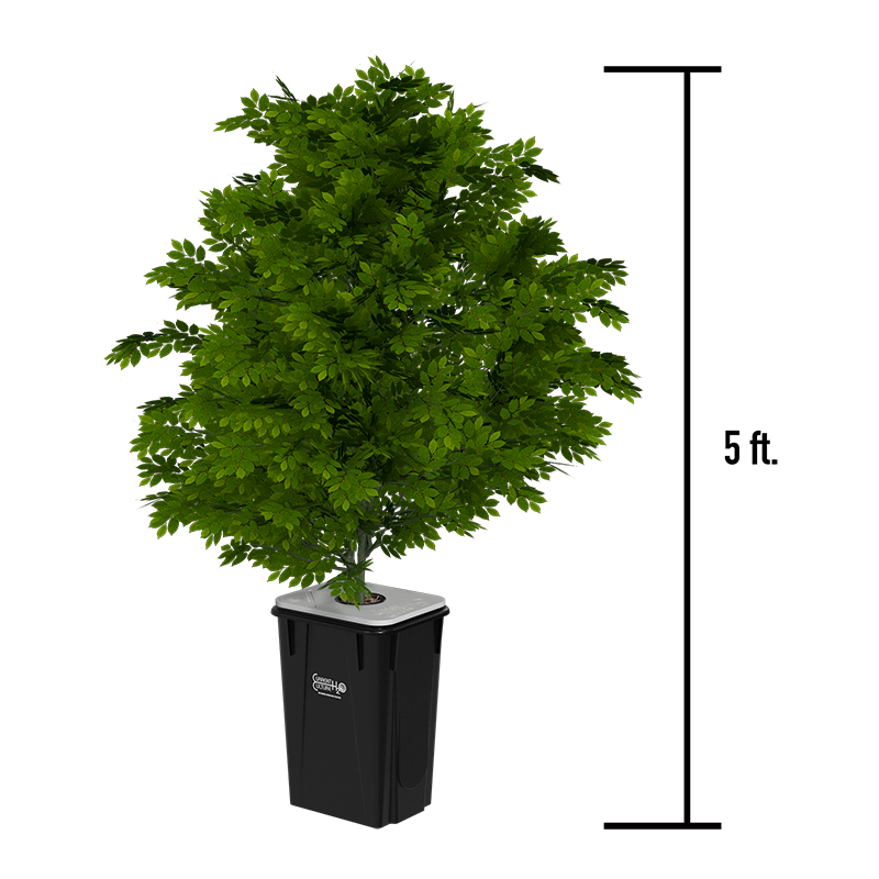 Buy The Under Current ® Evolution Recirculating Deep Water Culture ...